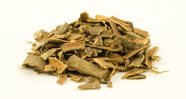 Cascara Sagrada: tudo sobre este chá