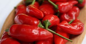 Capsiate: emagrece mesmo? Conheça!