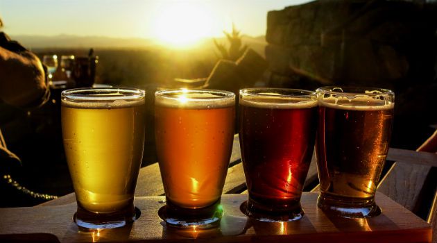 Cerveja Low carb: conheça as 3 melhores!