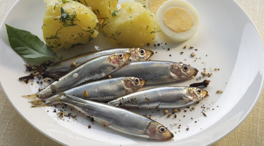 Anchova: conheça os benefícios pro corpo
