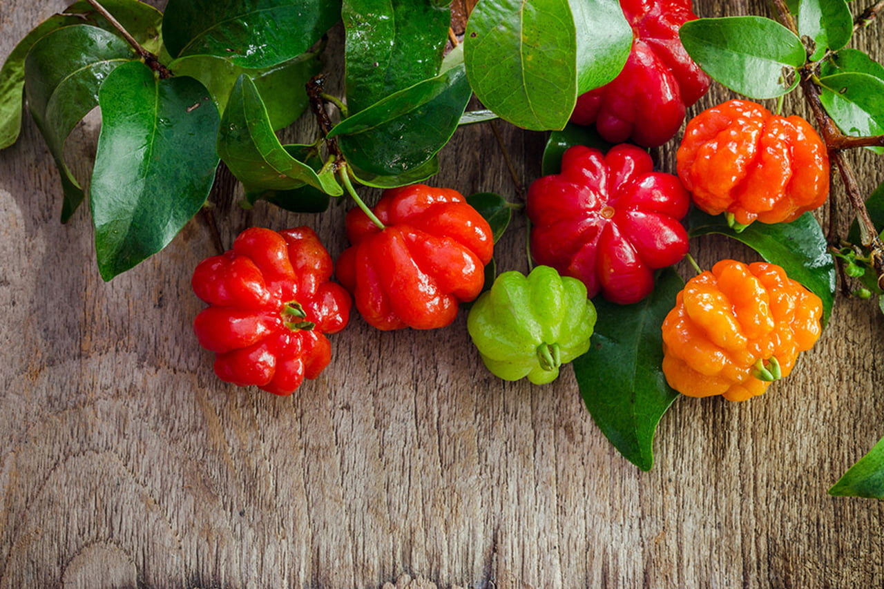 Pitanga - veja os benefícios dessa fruta