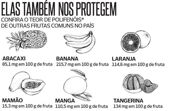 Alimentos ricos em polifenóis: conheça os melhores!