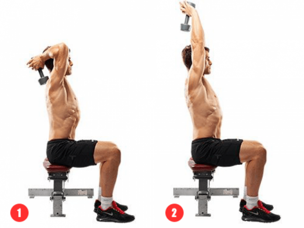 Tríceps Francês: Como executar passo a passo, variações e mais!